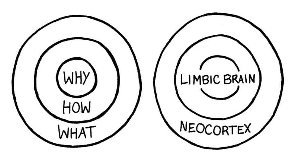 Why Consider Brand Storytelling in Your B2B Content Strategy?